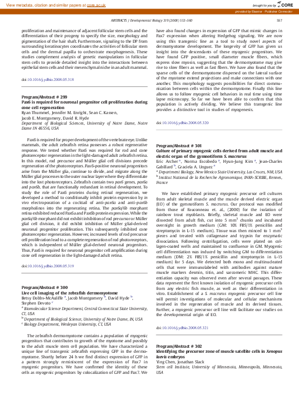 (PDF) Identifying the precursor zone of muscle satellite cells in ...