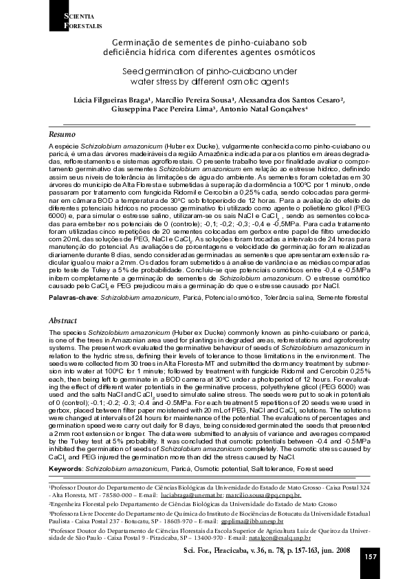 (PDF) Germinação de sementes de pinho-cuiabano sob deficiência hídrica ...