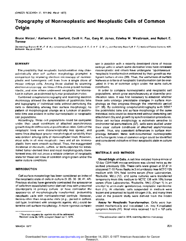 (PDF) Topography of nonneoplastic and neoplastic cells of common origin