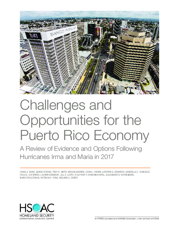 (PDF) Challenges and Opportunities for the Puerto Rico Economy: A ...