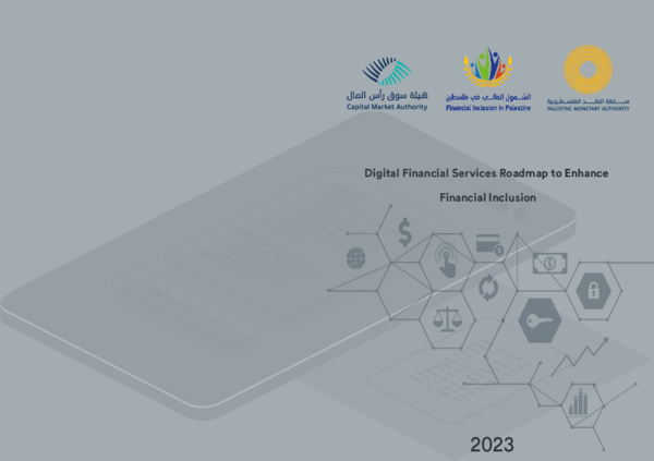 (PDF) Digital Financial Services Roadmap to Enhance Financial Inclusion