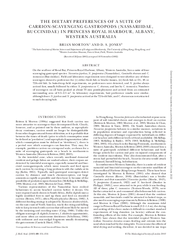 (PDF) The Dietary Preferences of a Suite of Carrion-Scavenging ...