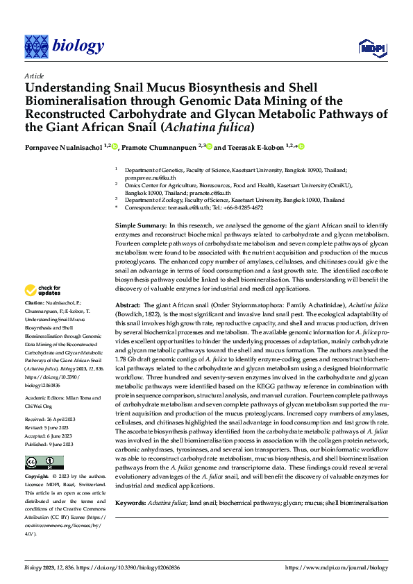 (PDF) Understanding Snail Mucus Biosynthesis and Shell ...