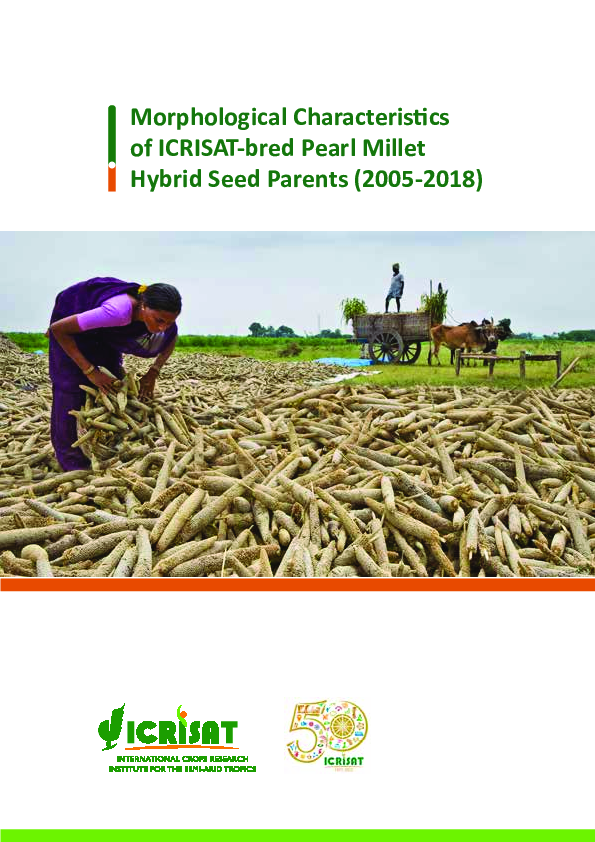 (PDF) Morphological Characteristics of ICRISAT-bred Pearl Millet Hybrid ...
