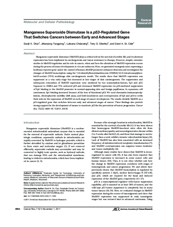(PDF) Manganese Superoxide Dismutase Is a p53-Regulated Gene That ...