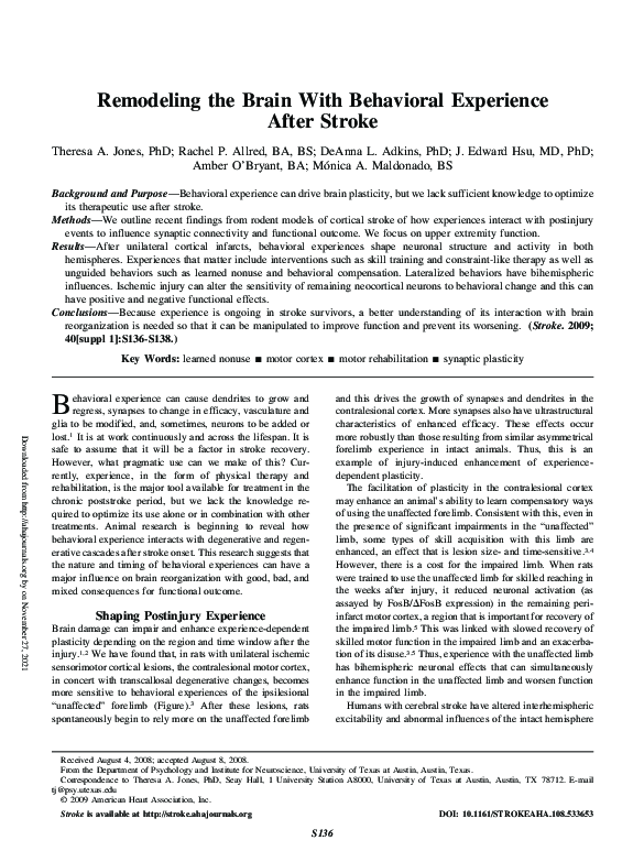 (PDF) Remodeling the Brain With Behavioral Experience After Stroke
