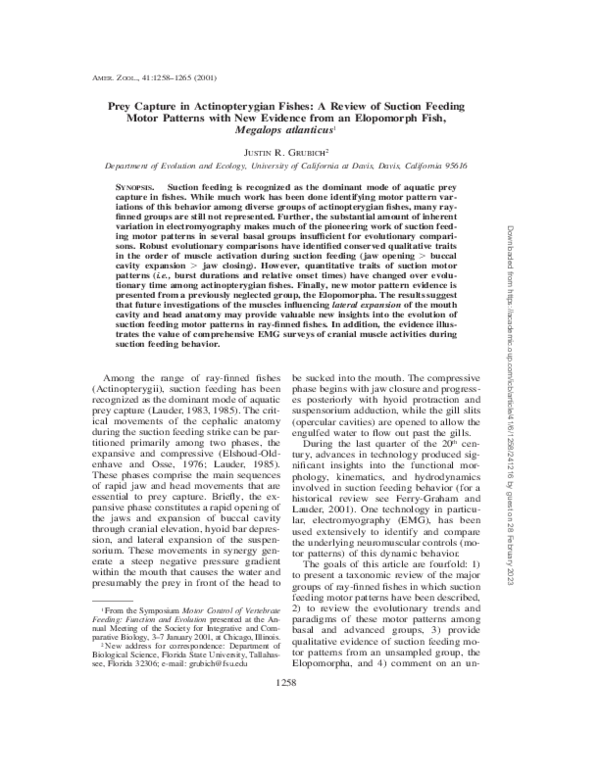 (PDF) Prey Capture in Actinopterygian Fishes: A Review of Suction ...