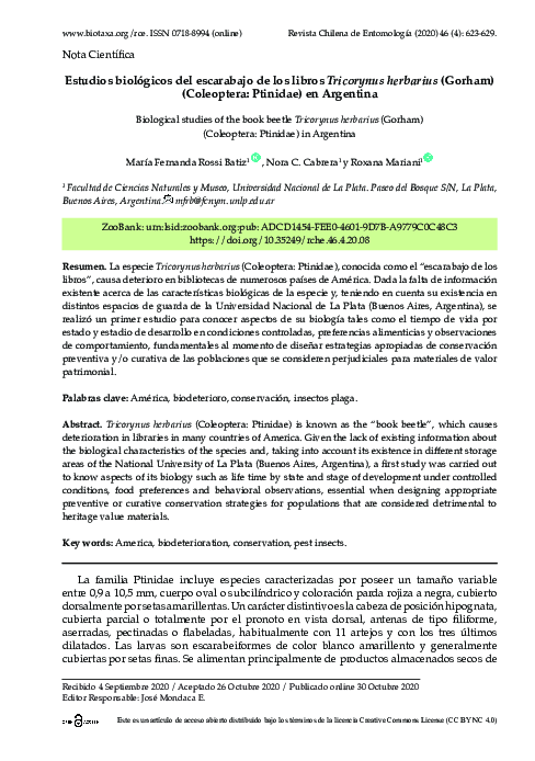 (PDF) Estudios biológicos del escarabajo de los libros Tricorynus ...