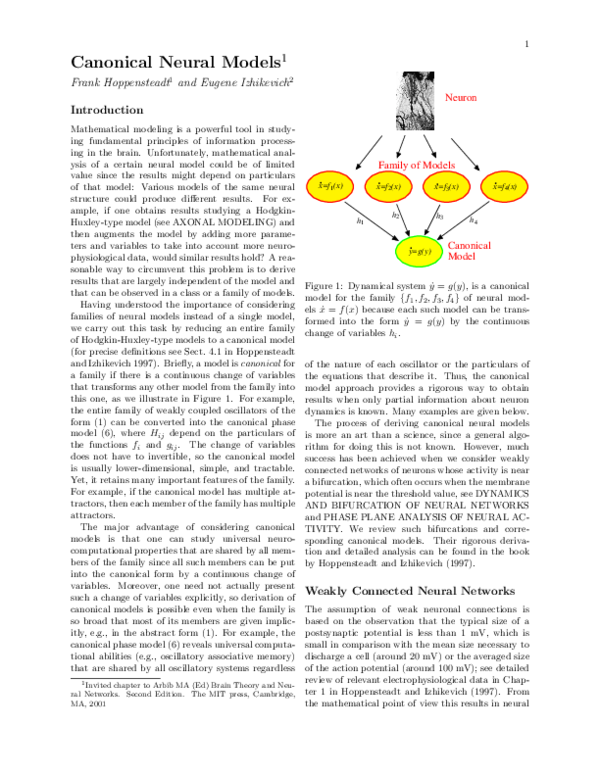 (PDF) Canonical Neural Models