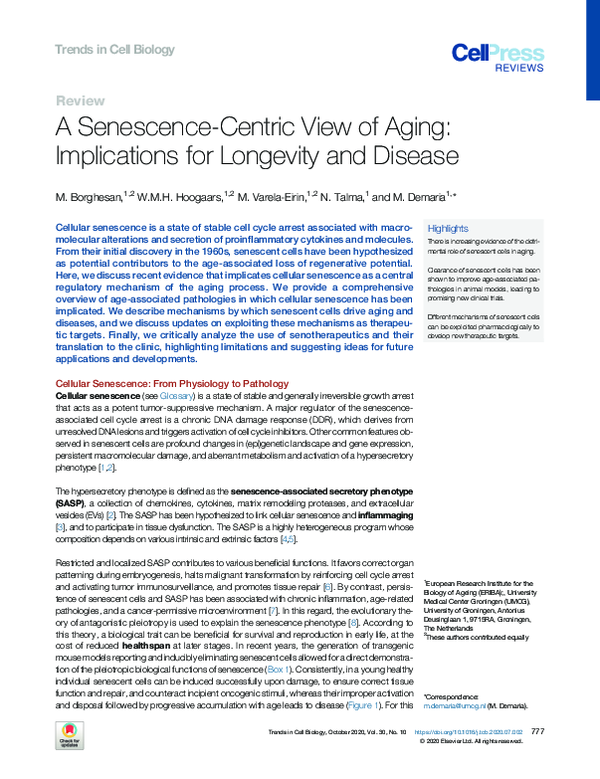(PDF) Cellular Senescence: Aging and Therapeutic Targets