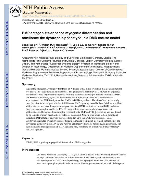 (PDF) BMP antagonists enhance myogenic differentiation and ameliorate ...