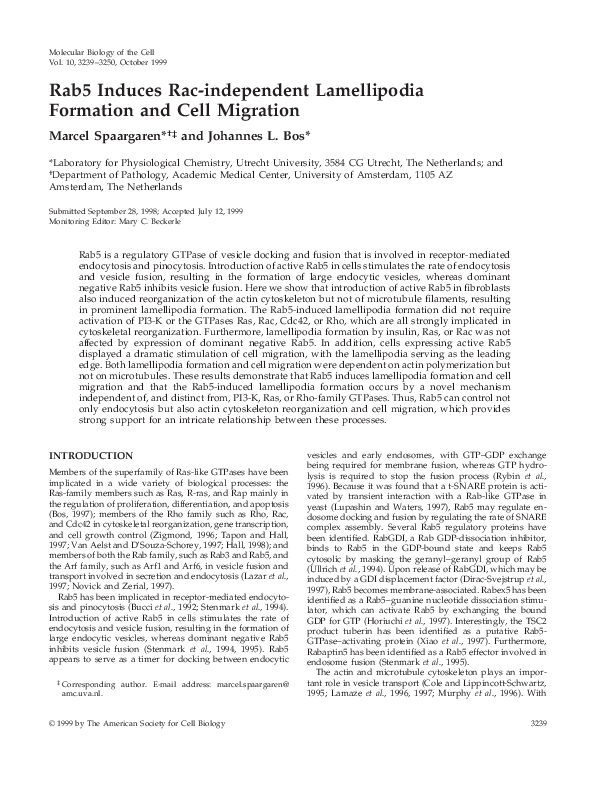 (PDF) Rab5 Induces Rac-independent Lamellipodia Formation and Cell ...