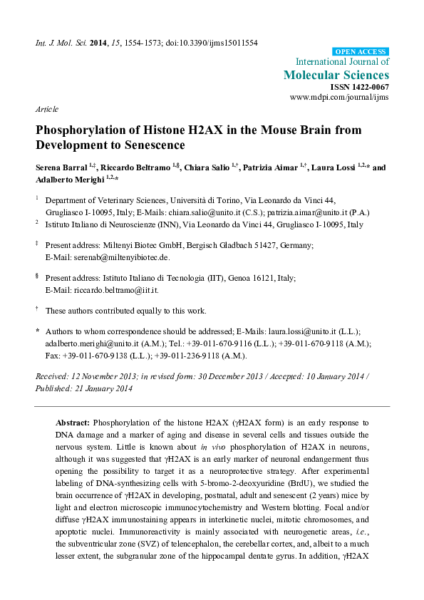 (PDF) Histone H2AX Phosphorylation in Mouse Brain Across Ages