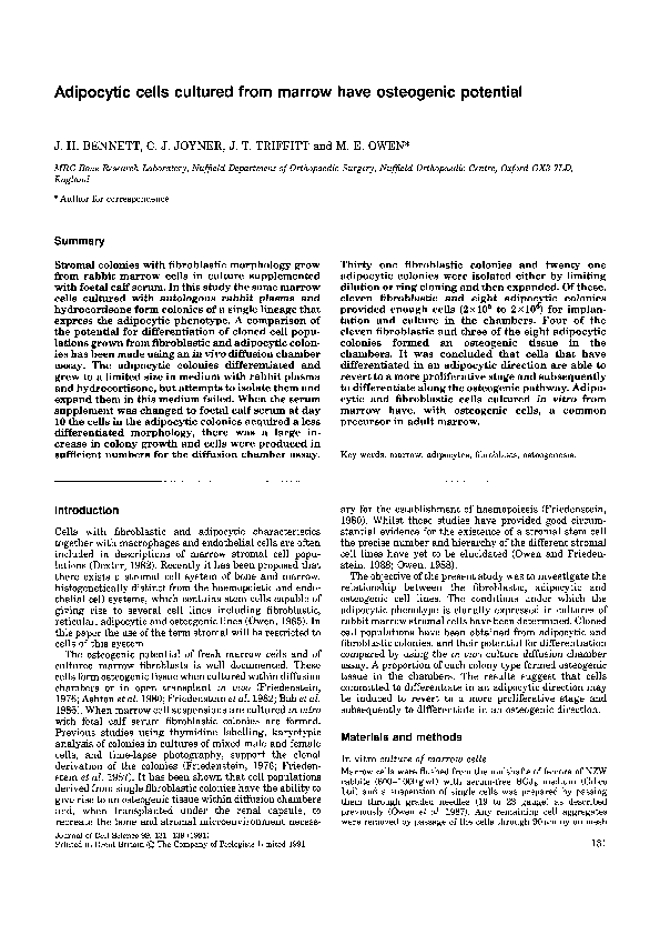 (PDF) Adipocytic cells cultured from marrow have osteogenic potential ...