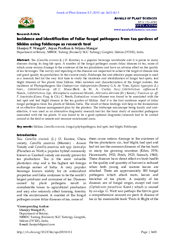 (PDF) Incidence and identification of foliar fungal pathogens from tea ...