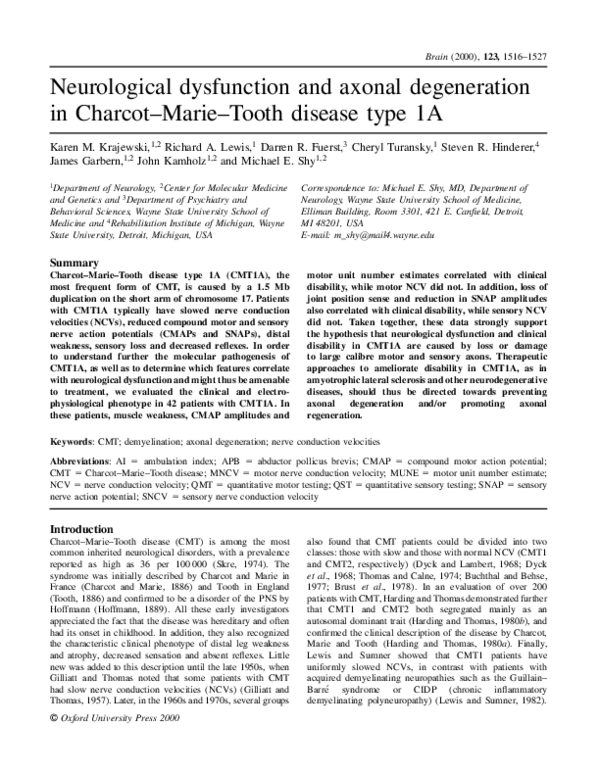 (PDF) Neurological dysfunction and axonal degeneration in Charcot-Marie ...