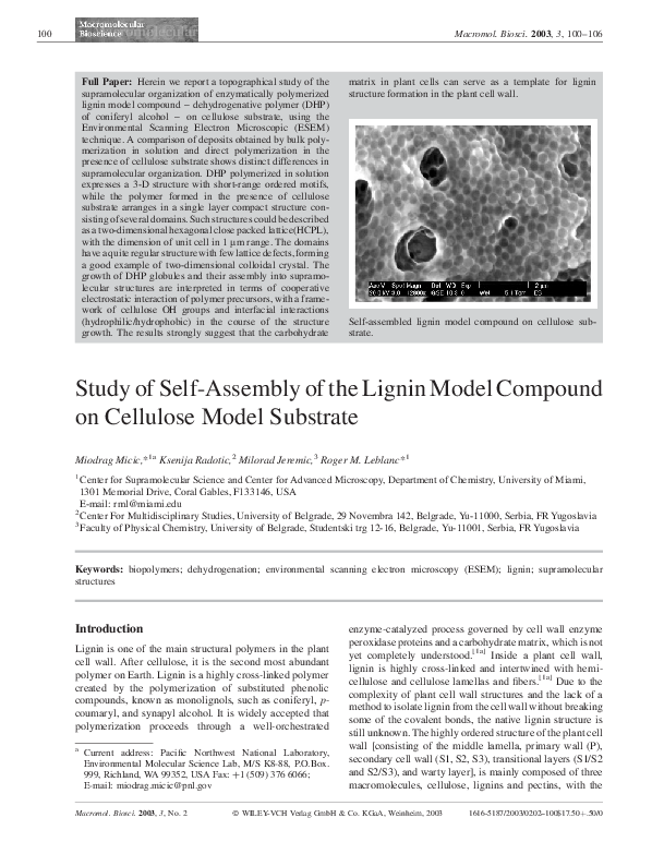 (PDF) Study of Self-Assembly of the Lignin Model Compound on Cellulose ...