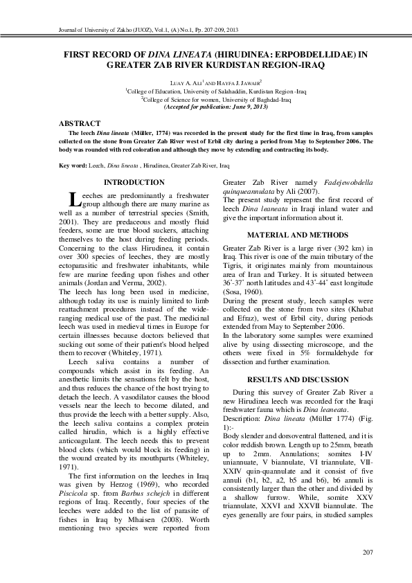 (PDF) First Record of Dina Lineata (Hirudinea: Erpobdellidae) in ...