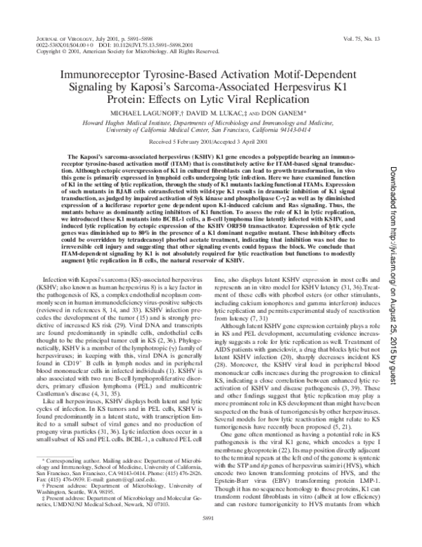 (PDF) The immunoreceptor tyrosine-based activation motif (ITAM ...