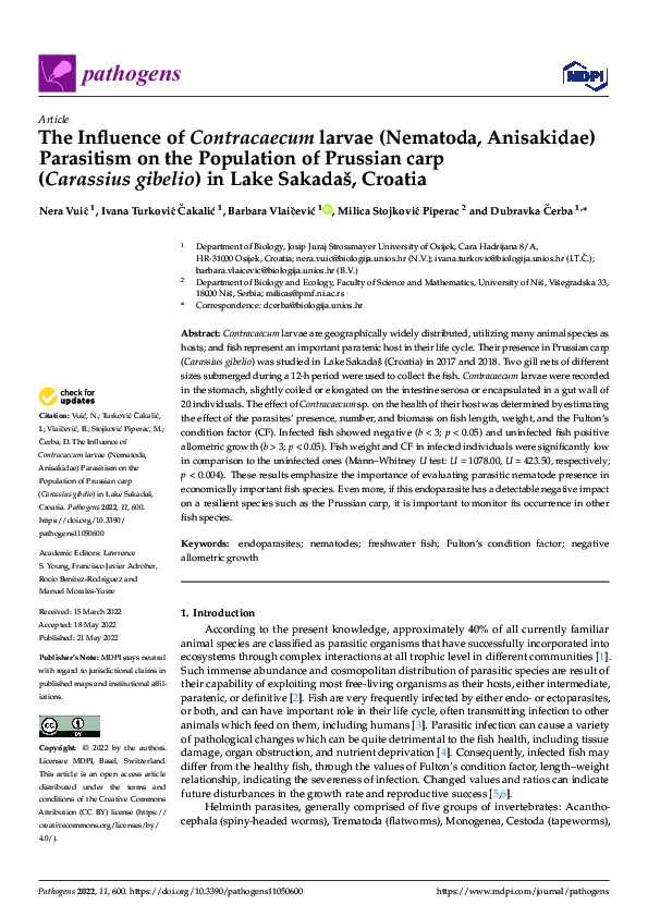 (PDF) The Influence of Contracaecum larvae (Nematoda, Anisakidae ...