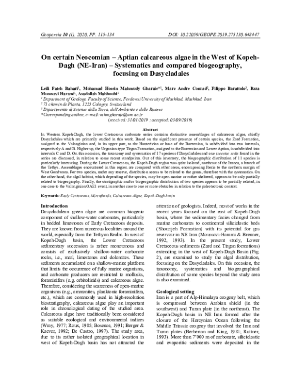 (PDF) On certain Neocomian – Aptian calcareous algae in the West of ...