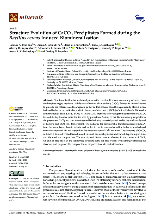 (PDF) Structure Evolution of CaCO3 Precipitates Formed during the ...