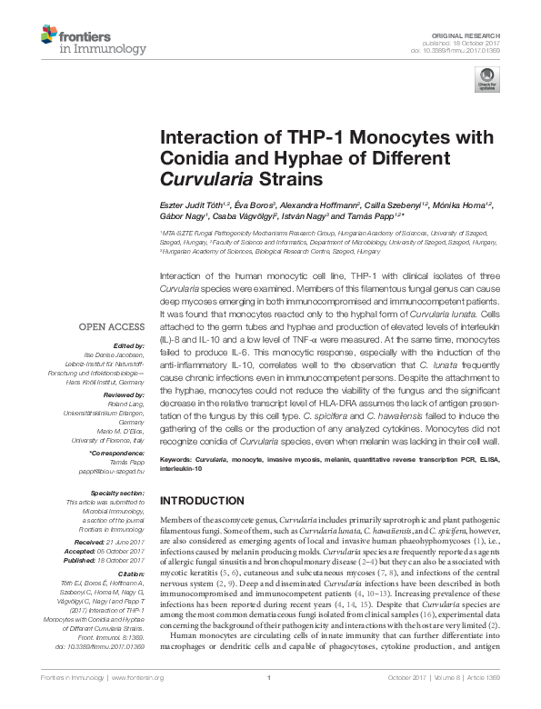 (PDF) Interaction of THP-1 Monocytes with Conidia and Hyphae of ...