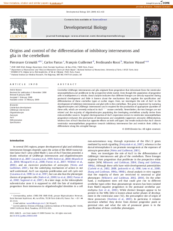 (PDF) Origins and control of the differentiation of inhibitory ...