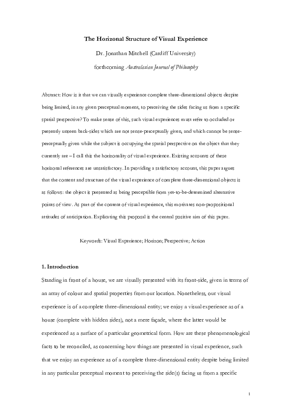 (PDF) The Horizonal Structure of Visual Experience
