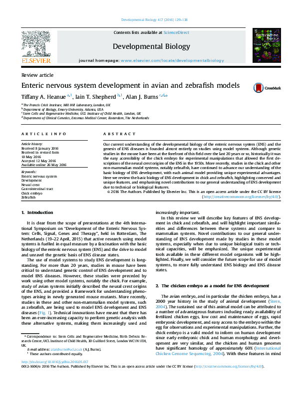 (PDF) Enteric nervous system development in avian and zebrafish models