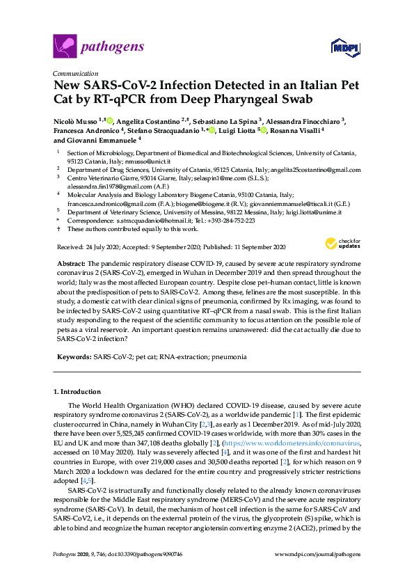 (PDF) New SARS-CoV-2 Infection Detected in an Italian Pet Cat by RT ...