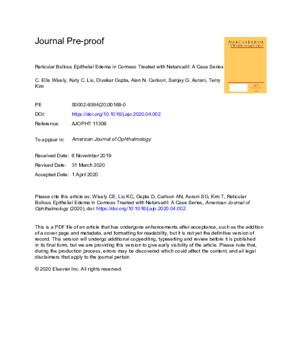 (PDF) Reticular Bullous Epithelial Edema in Corneas Treated with ...