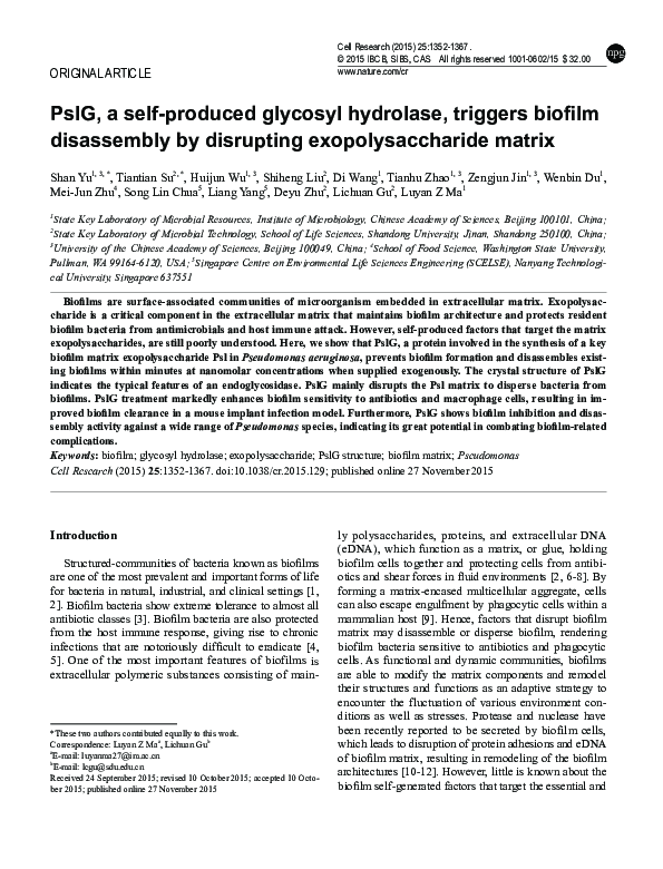 (PDF) PslG, a self-produced glycosyl hydrolase, triggers biofilm disassembly by disrupting ...