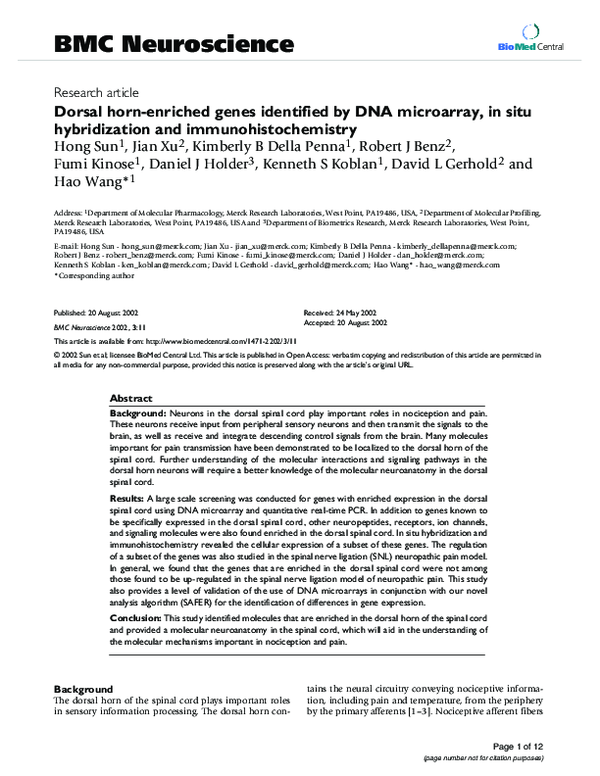 (PDF) Dorsal Horn Genes in Pain Transmission