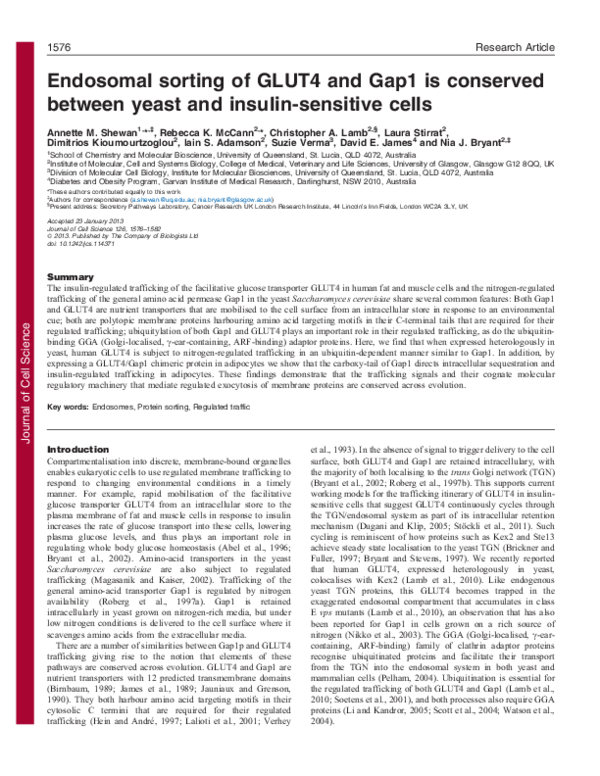(PDF) Endosomal sorting of GLUT4 and Gap1 is conserved between yeast ...