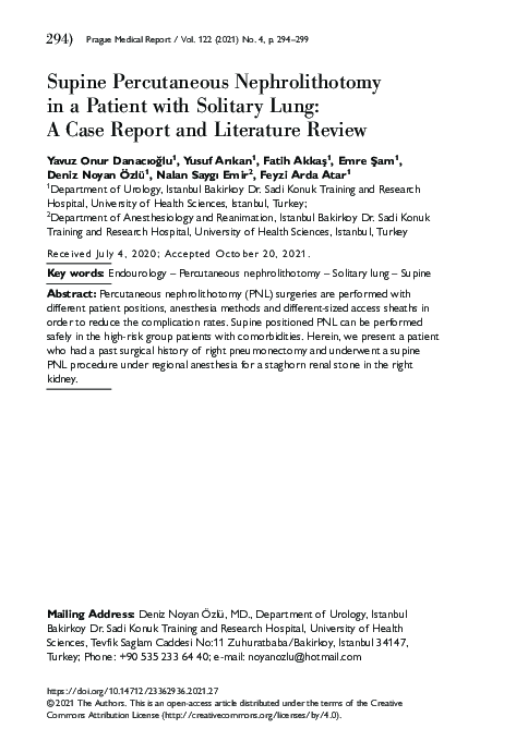 (PDF) Supine Percutaneous Nephrolithotomy in a Patient with Solitary ...