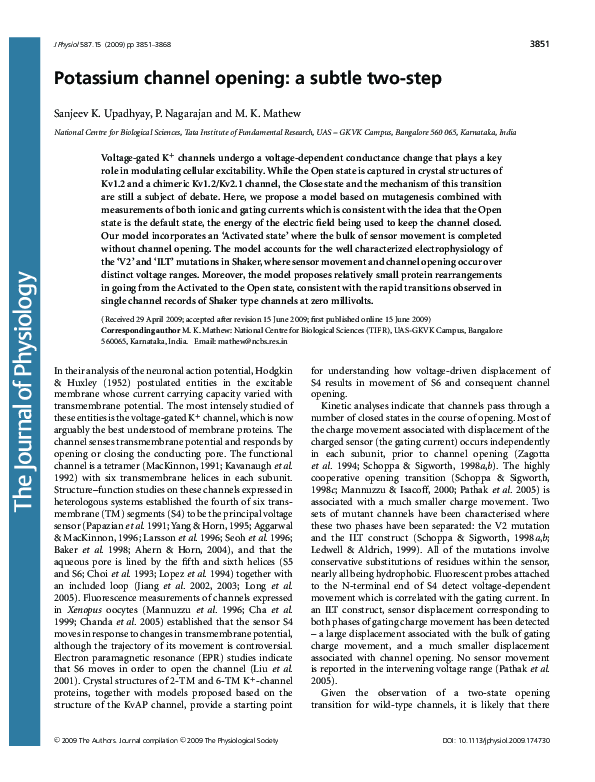 (PDF) Potassium channel opening: a subtle two-step