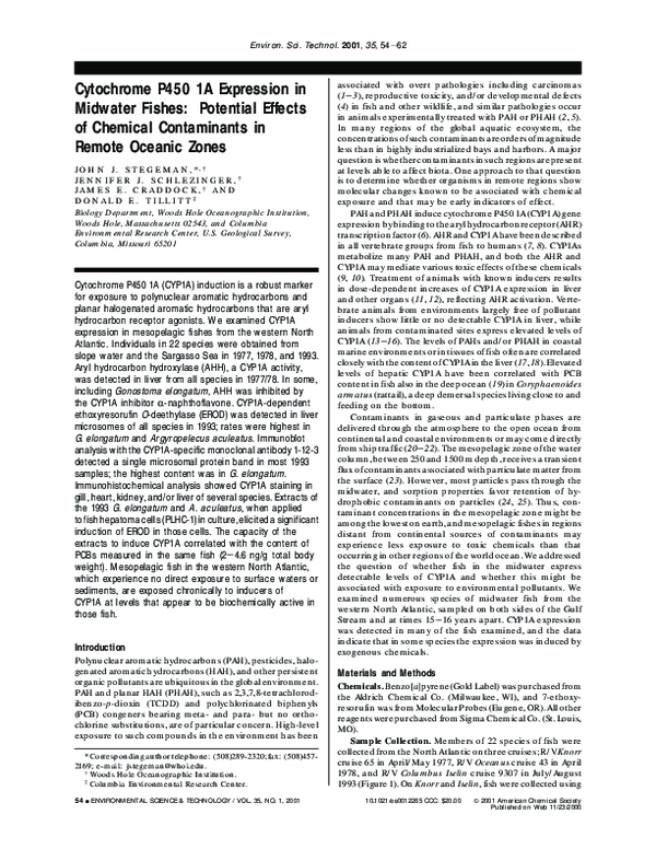 (PDF) Cytochrome P450 1A Expression in Midwater Fishes: Potential Effects of Chemical ...
