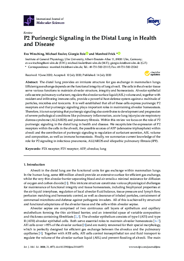 (PDF) P2 Purinergic Signaling in the Distal Lung in Health and Disease