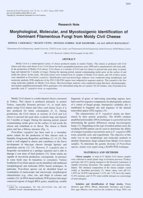 (PDF) Morphological, Molecular, and Mycotoxigenic Identification of Dominant Filamentous Fungi ...