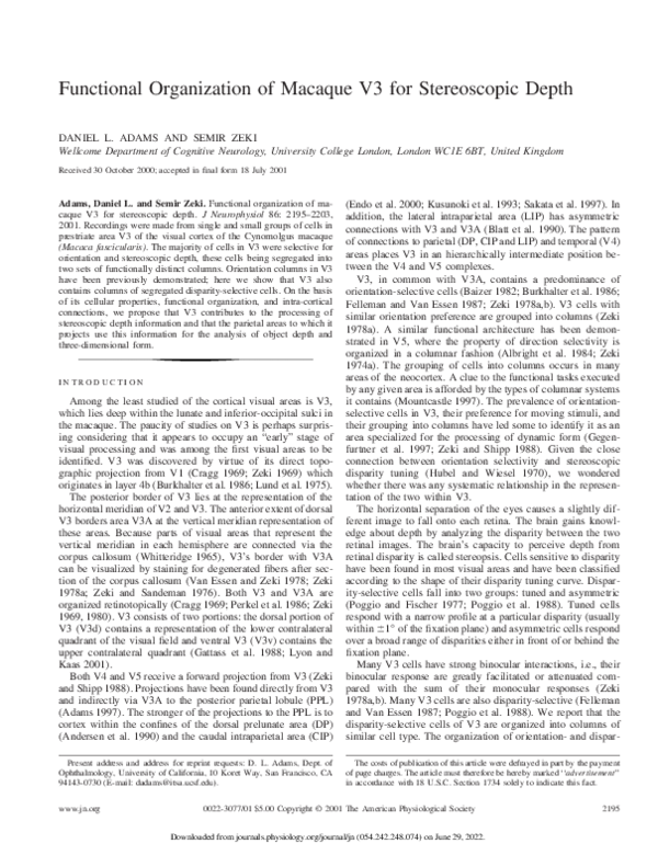 (PDF) Functional Organization of Macaque V3 for Stereoscopic Depth