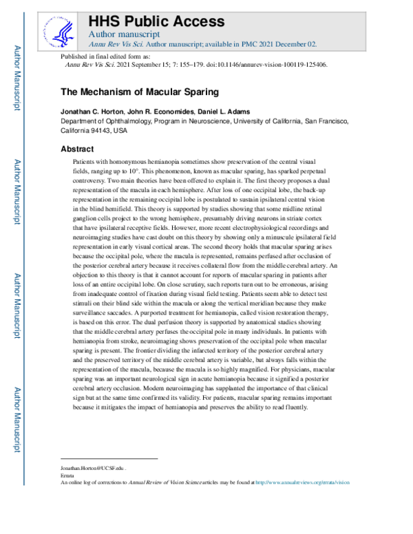 (PDF) The Mechanism of Macular Sparing