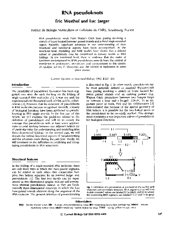 (PDF) RNA pseudoknots