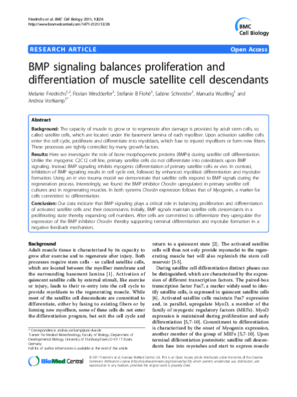 (PDF) BMP signaling balances proliferation and differentiation of ...