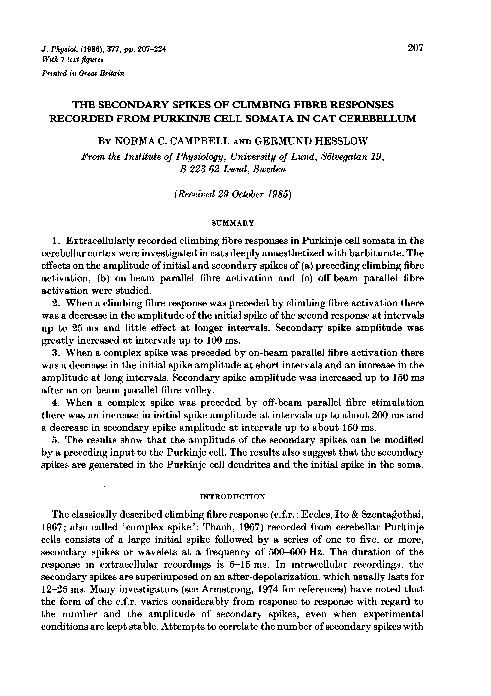 (PDF) The secondary spikes of climbing fibre responses recorded from ...