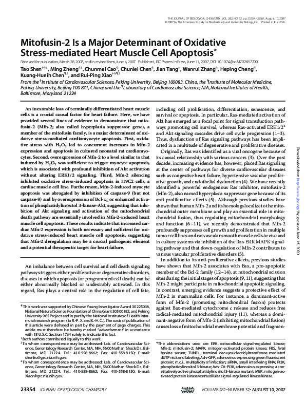 (PDF) Mitofusin-2 Is a Major Determinant of Oxidative Stress-mediated ...