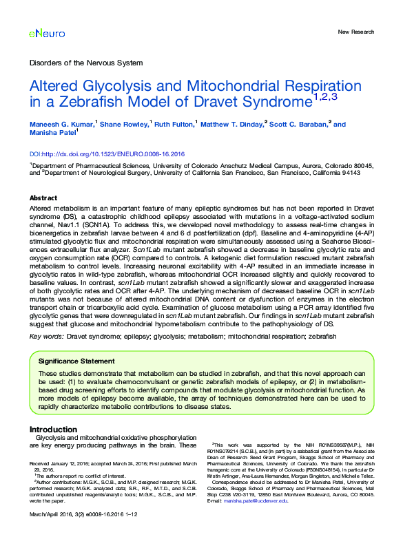(PDF) Altered Glycolysis and Mitochondrial Respiration in a Zebrafish Model of Dravet Syndrome ...
