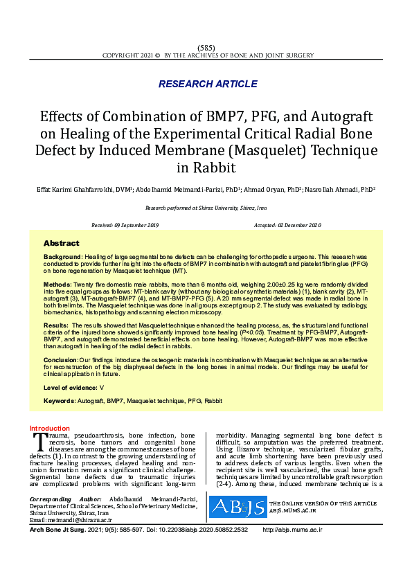 (PDF) Effects of Combination of BMP7, PFG, and Autograft on Healing of ...