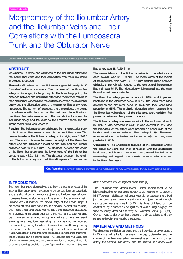 (PDF) Morphometry of the iliolumbar artery and the iliolumbar veins and their correlations with ...