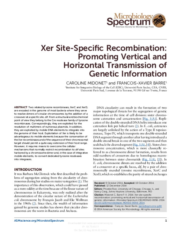 (PDF) Xer Site-Specific Recombination: Promoting Vertical and ...